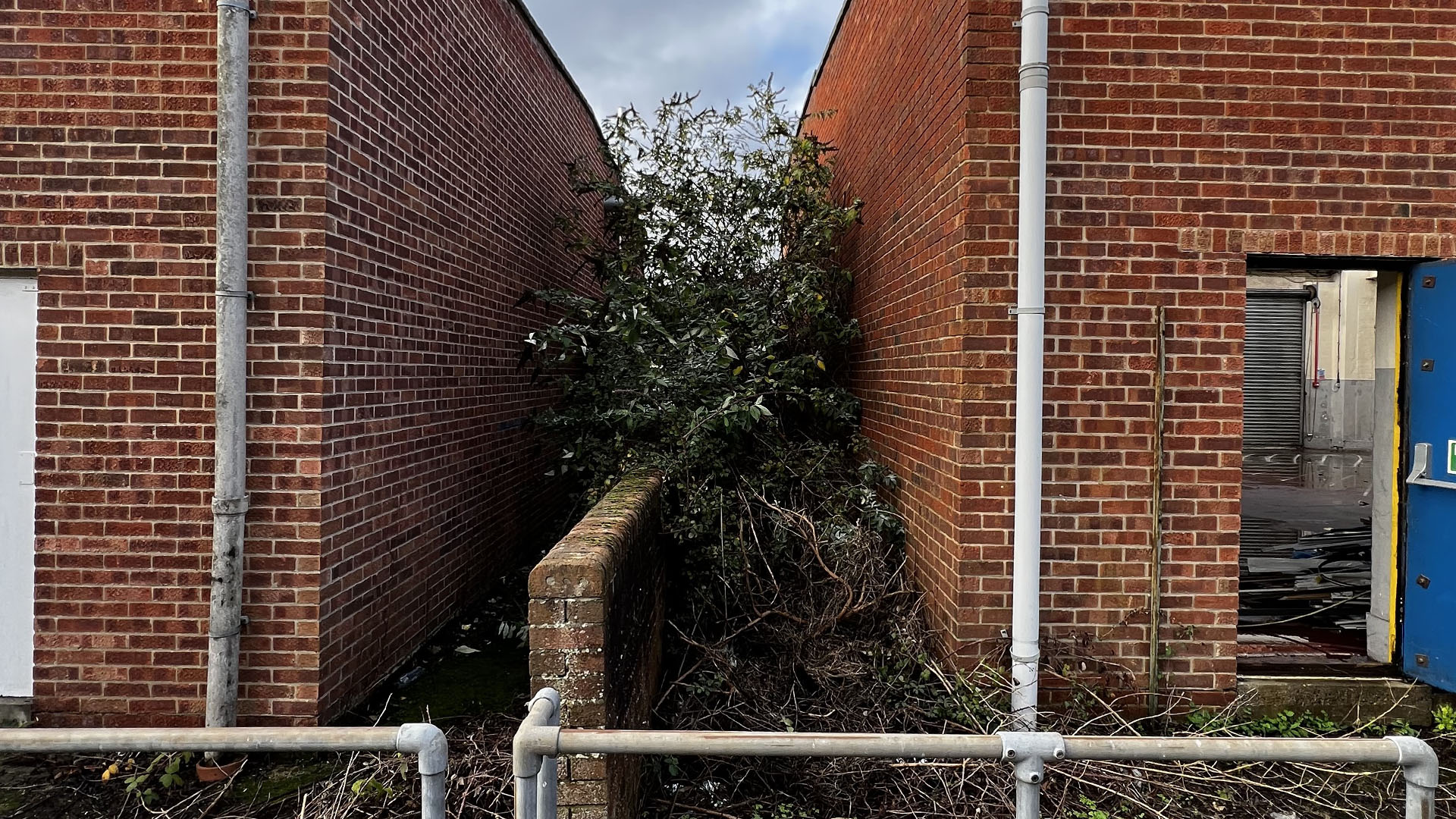 Expert Guide to Party Wall Etiquette Bournemouth
